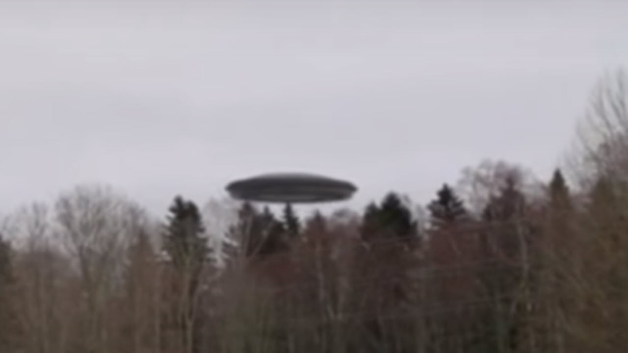 Atterraggio alieno in un bosco della Romani: vero o no?